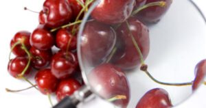 Food Service Delivery: Guidelines on When to Reject Items