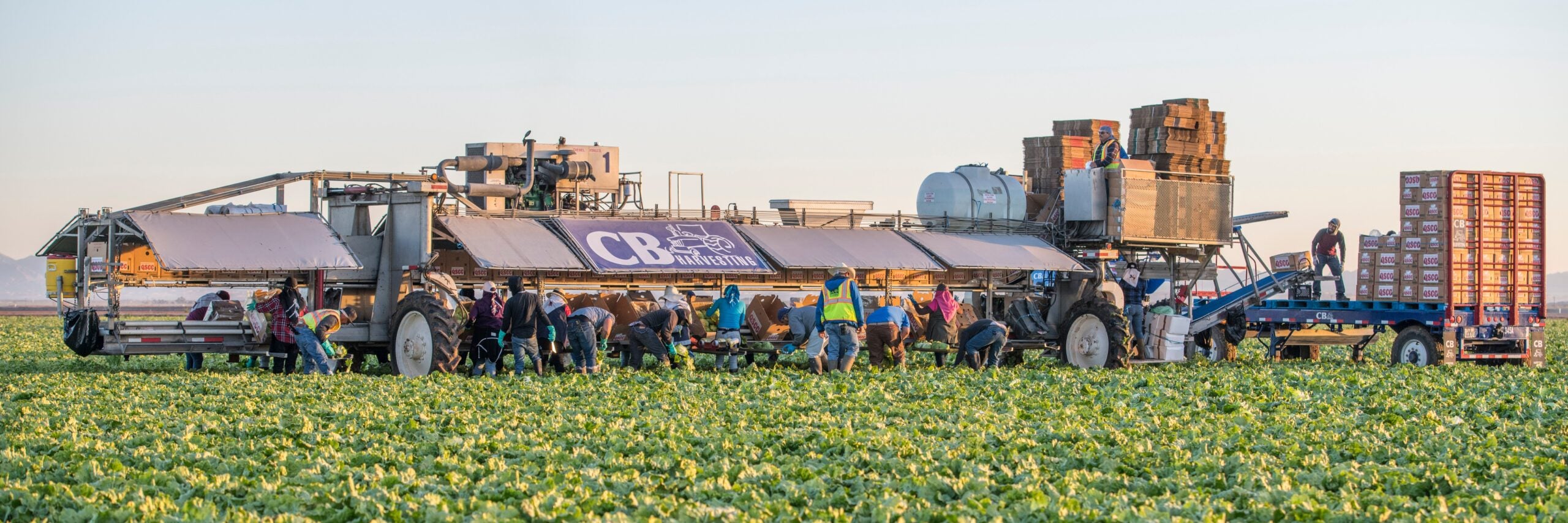 Keeping it Green and Growing: Markon and Church Brothers Farms | Gordon ...